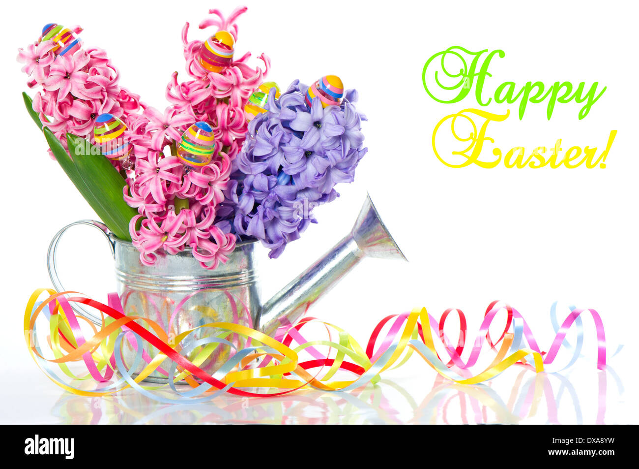 blue and pink spring hyacinth flowers with easter eggs Stock Photo - Alamy