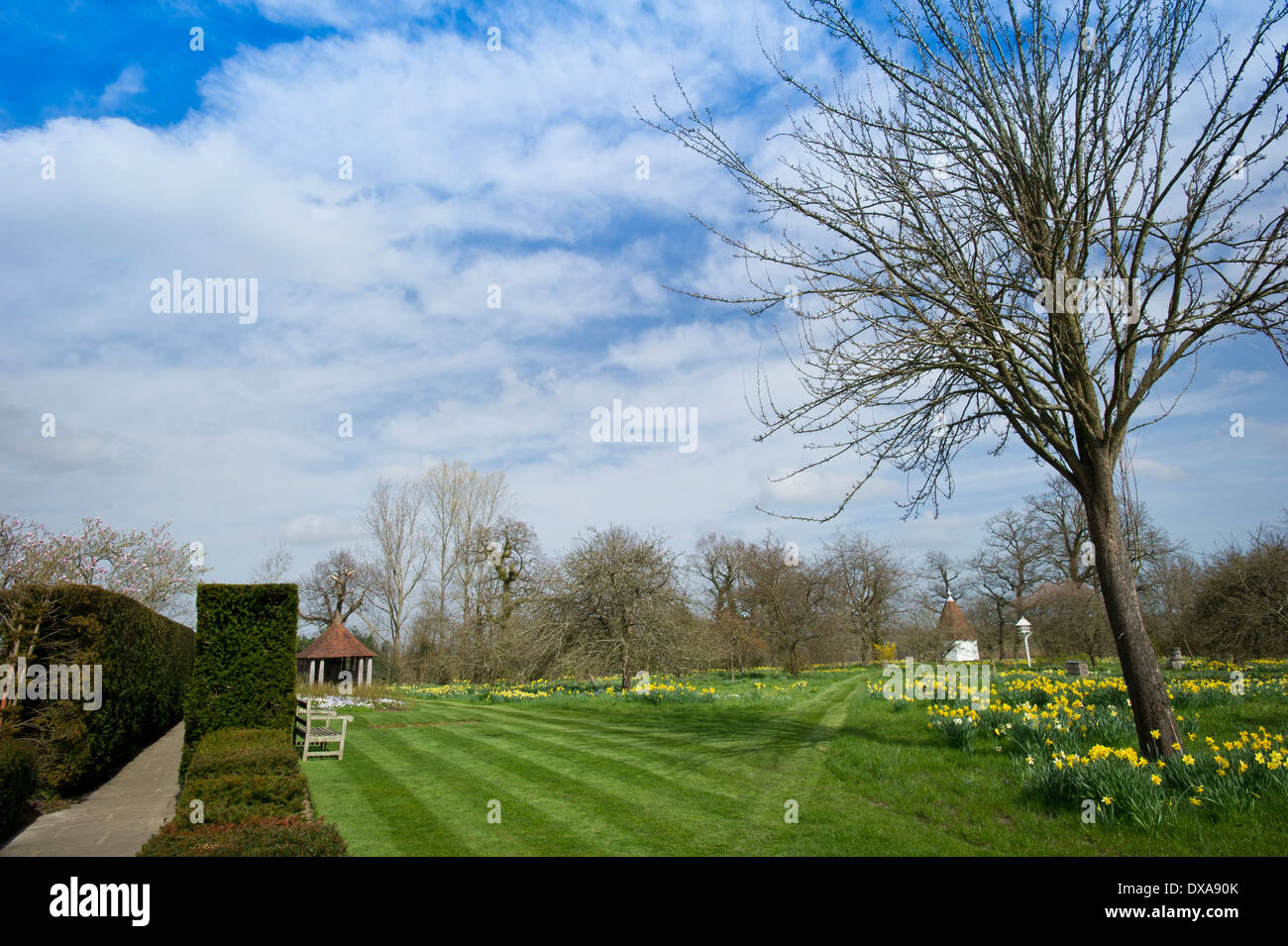 Spring flowers in UK Stock Photo - Alamy