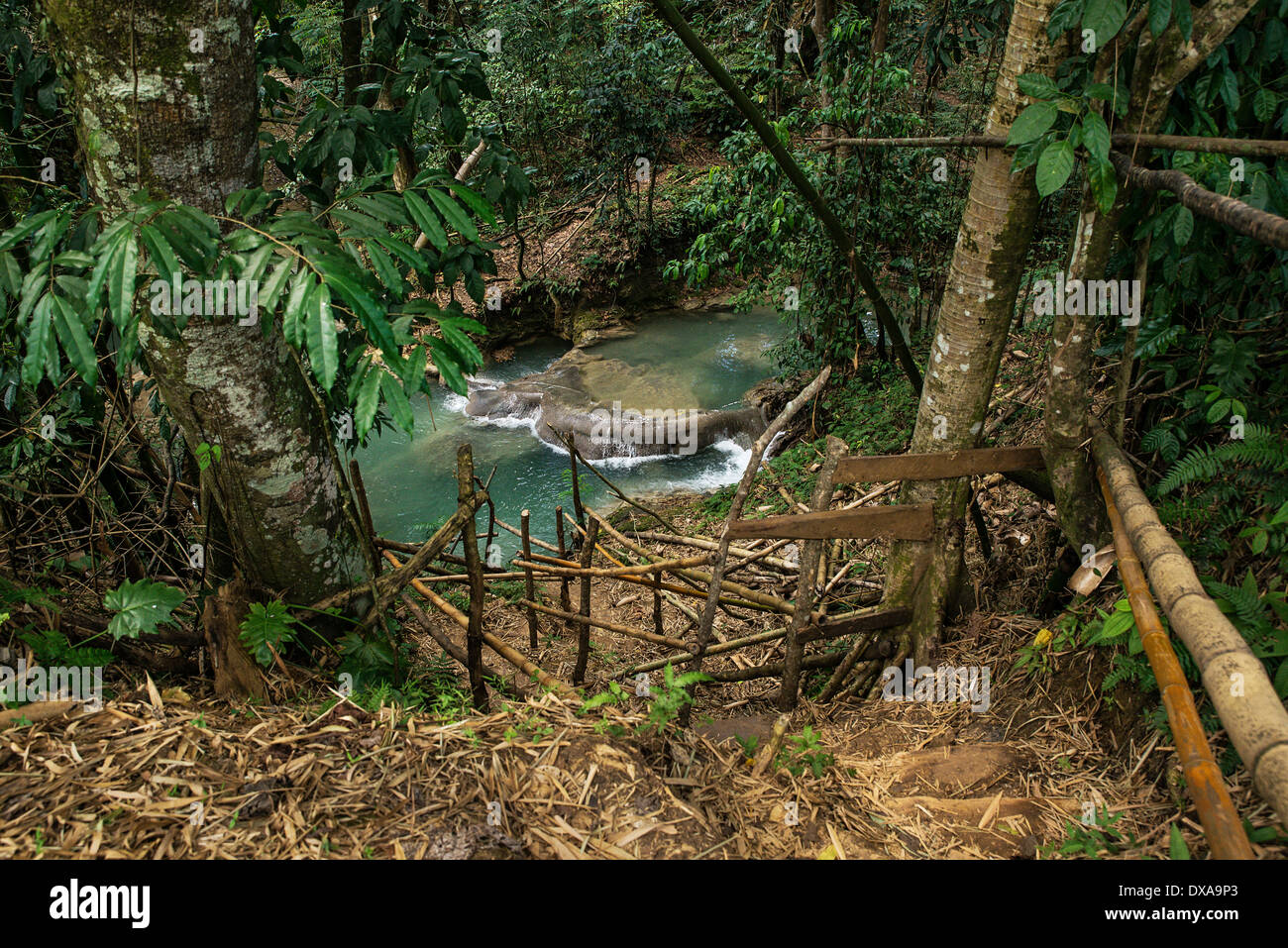 Rustic stair path leading down to Mayfield Falls, Jamaica Stock Photo ...