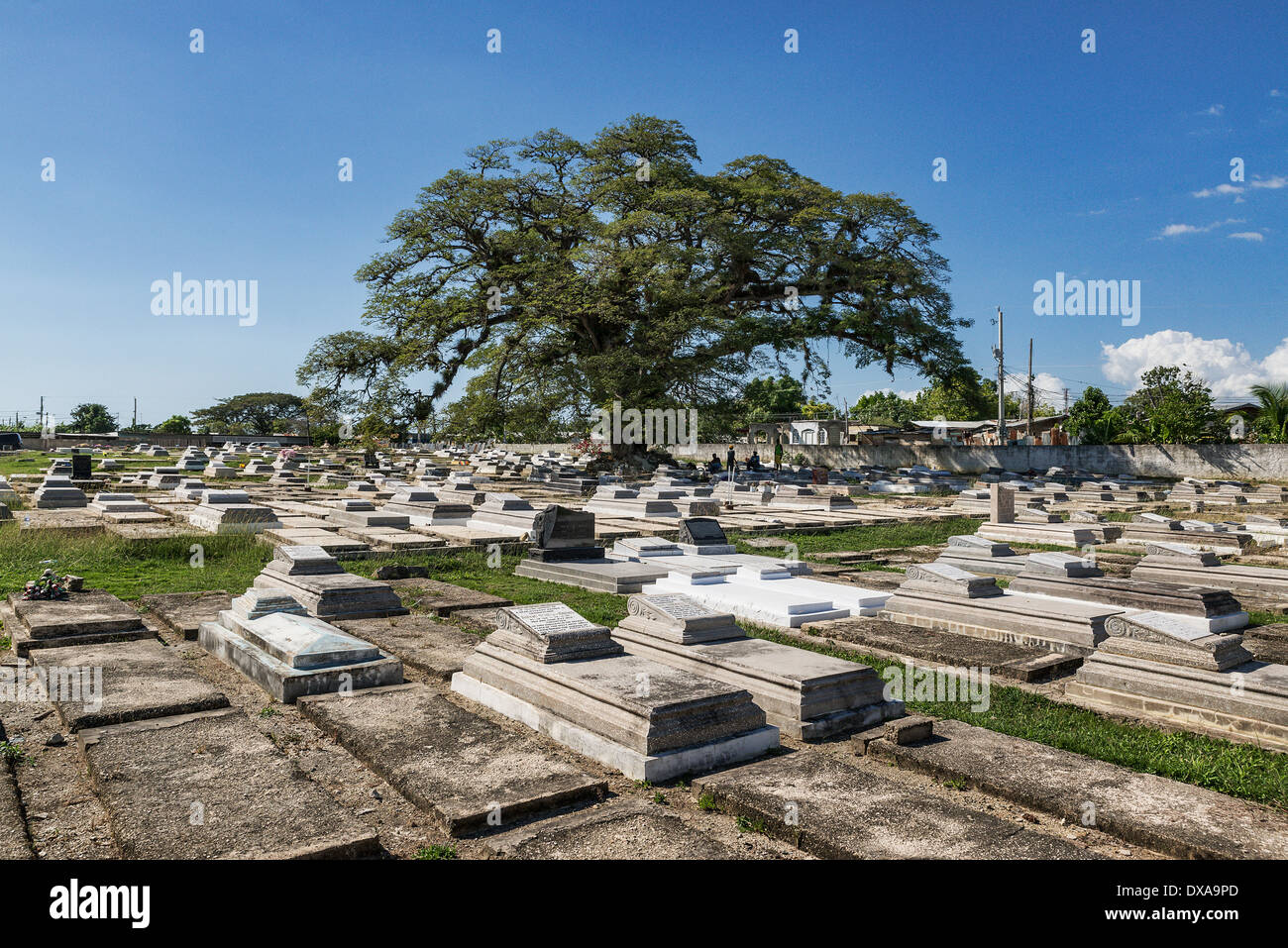 Cemetery in the town of Savanna La Mar, Jamaica Stock Photo - Alamy