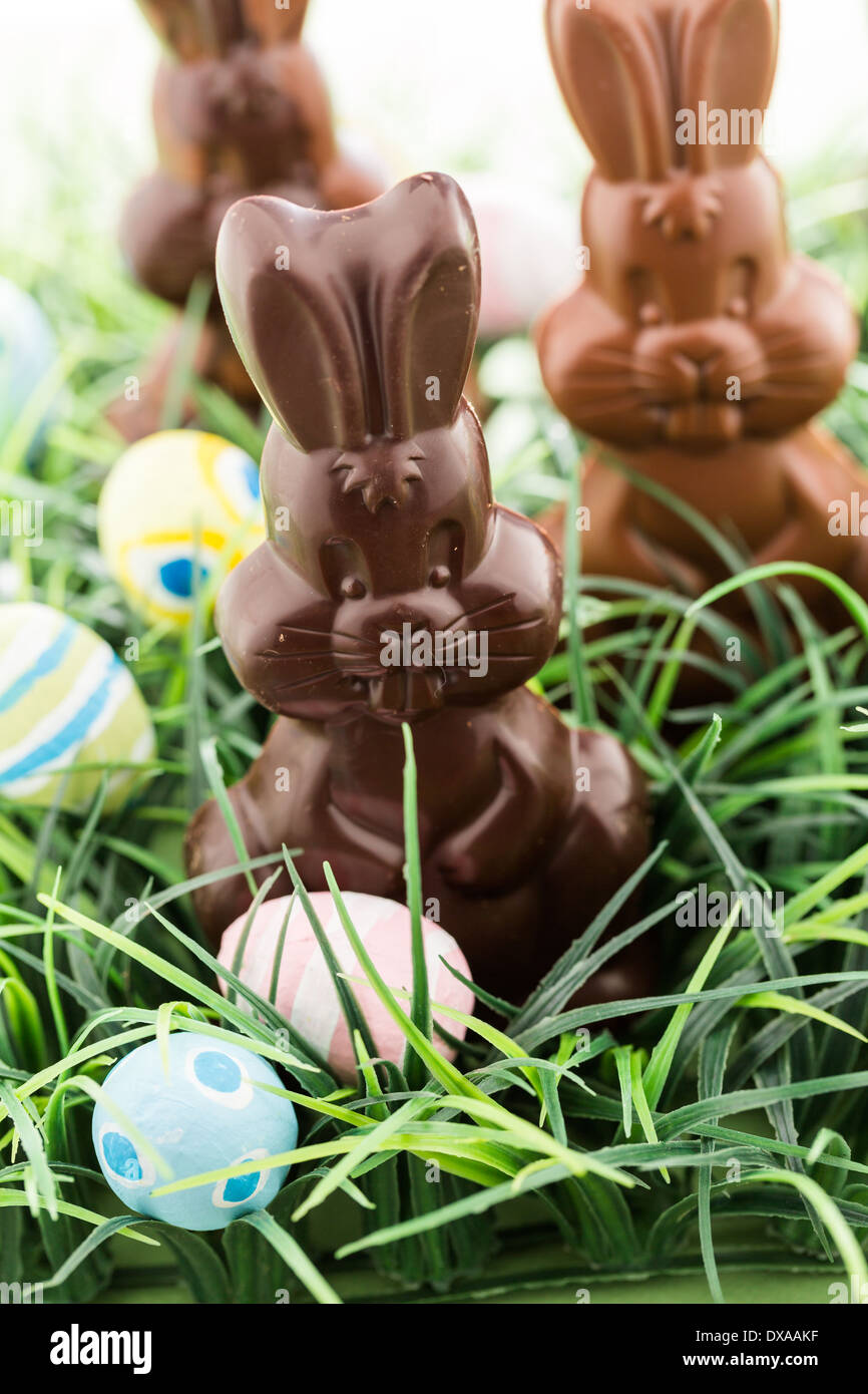 Easter chocolate bunnies made from solid milk and dark chocolate Stock ...