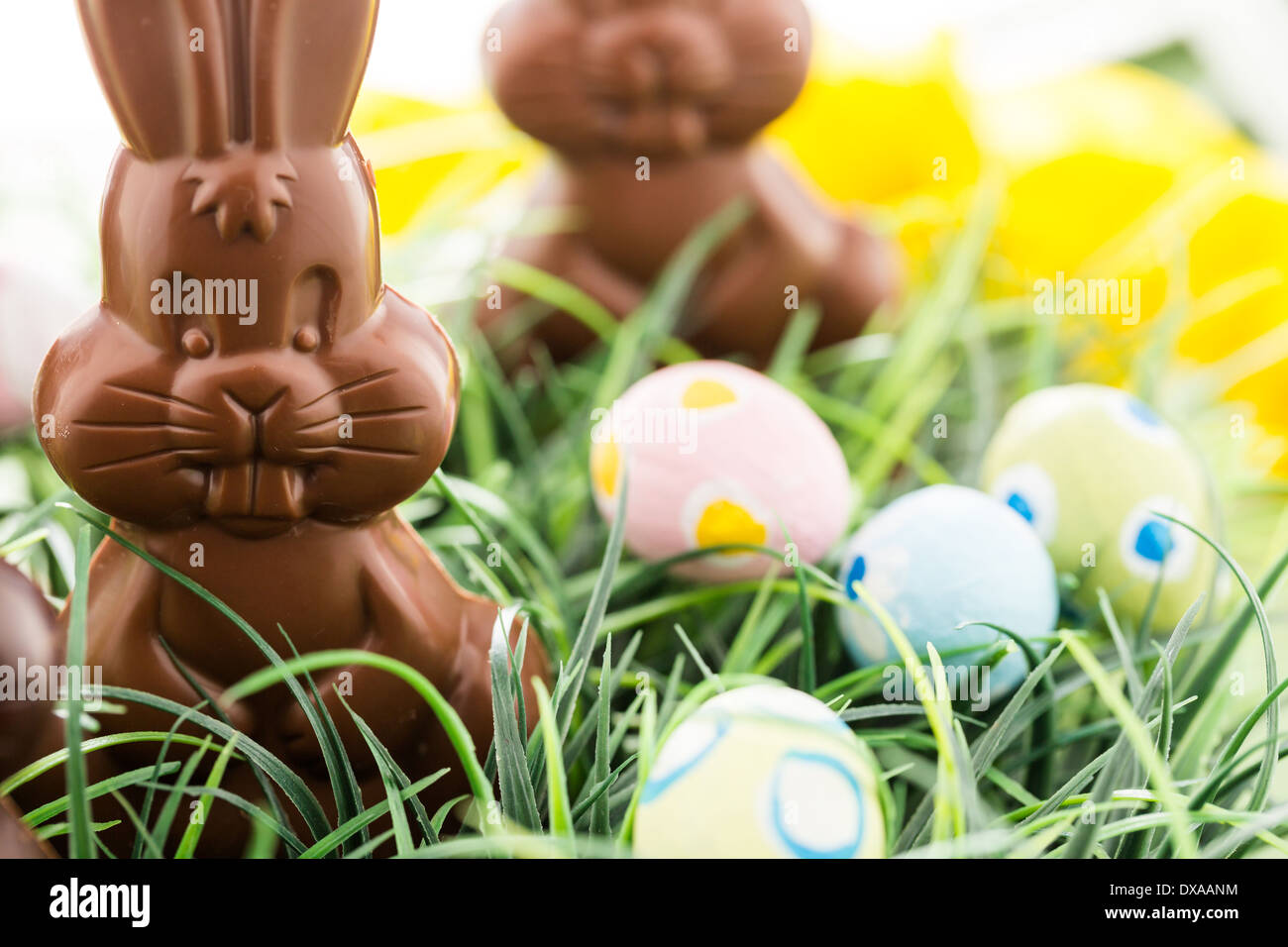 Easter chocolate bunnies made from solid milk and dark chocolate Stock ...