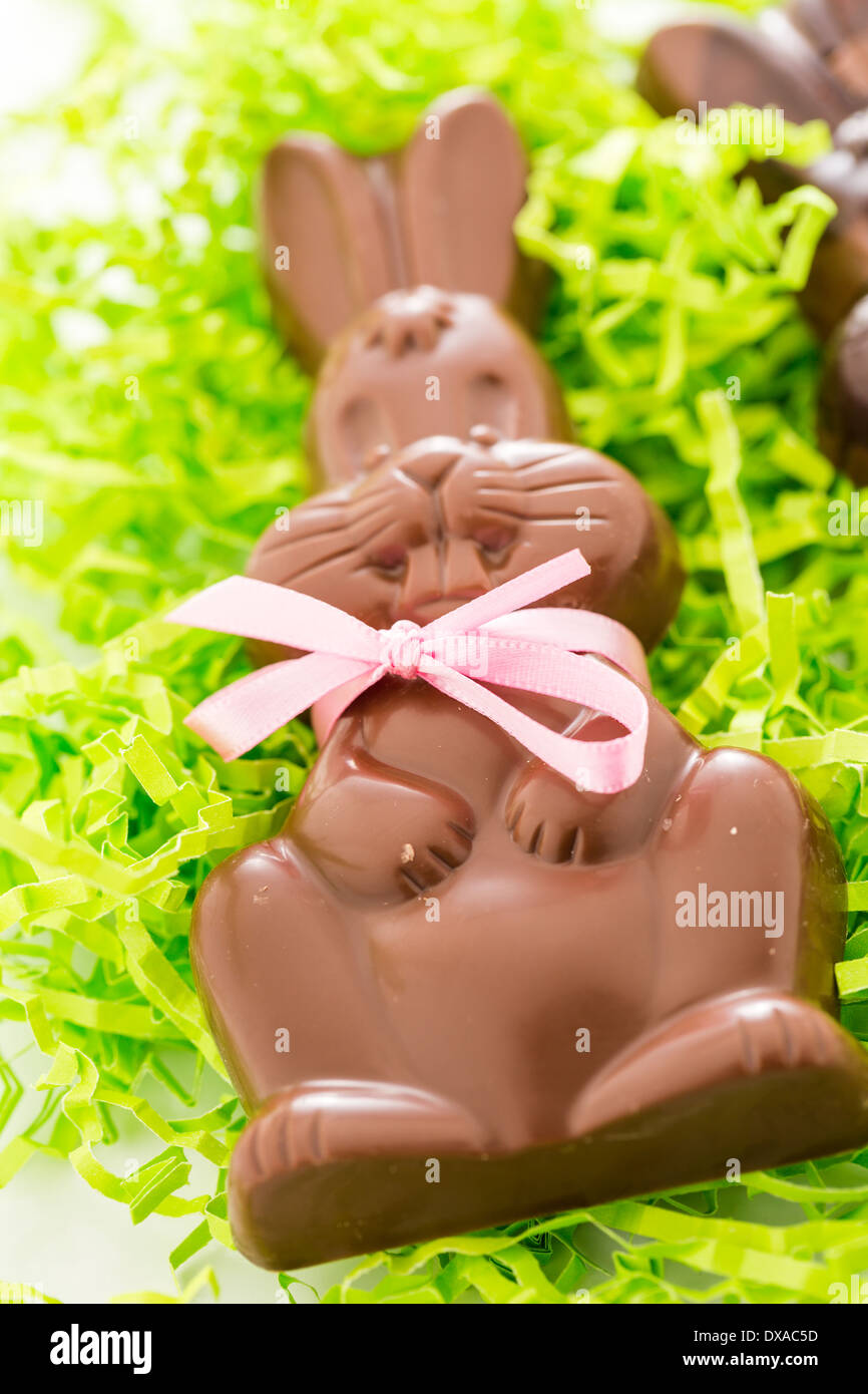 Easter chocolate bunnies made from solid milk and dark chocolate Stock ...
