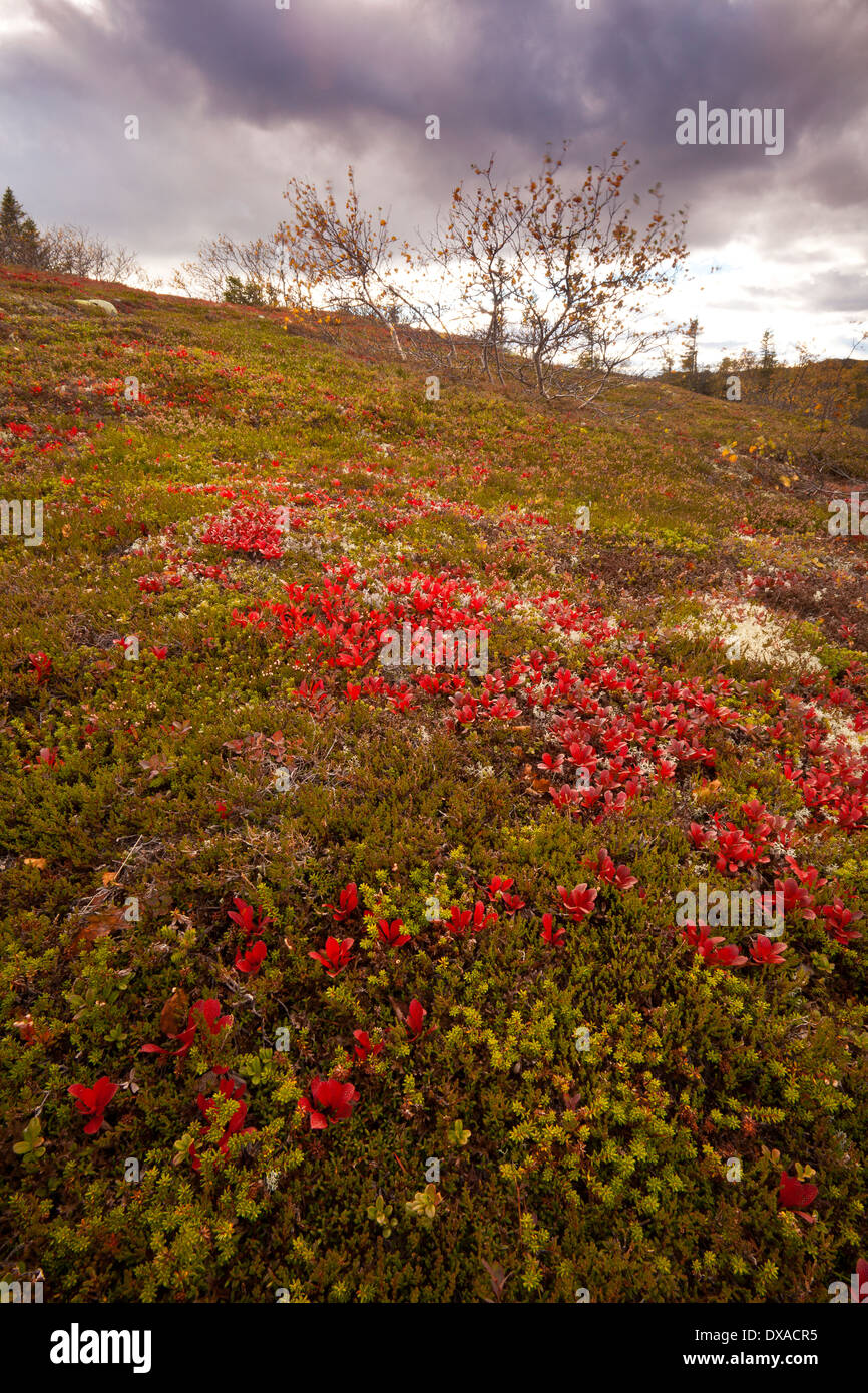 Eggedal norway hi-res stock photography and images - Alamy