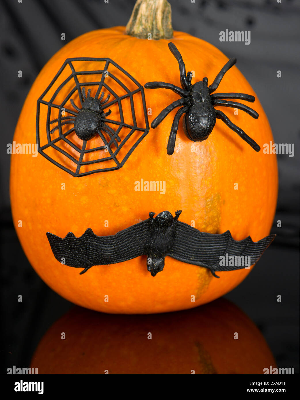 pumpkin with spiders and bat. halloween decoration Stock Photo - Alamy