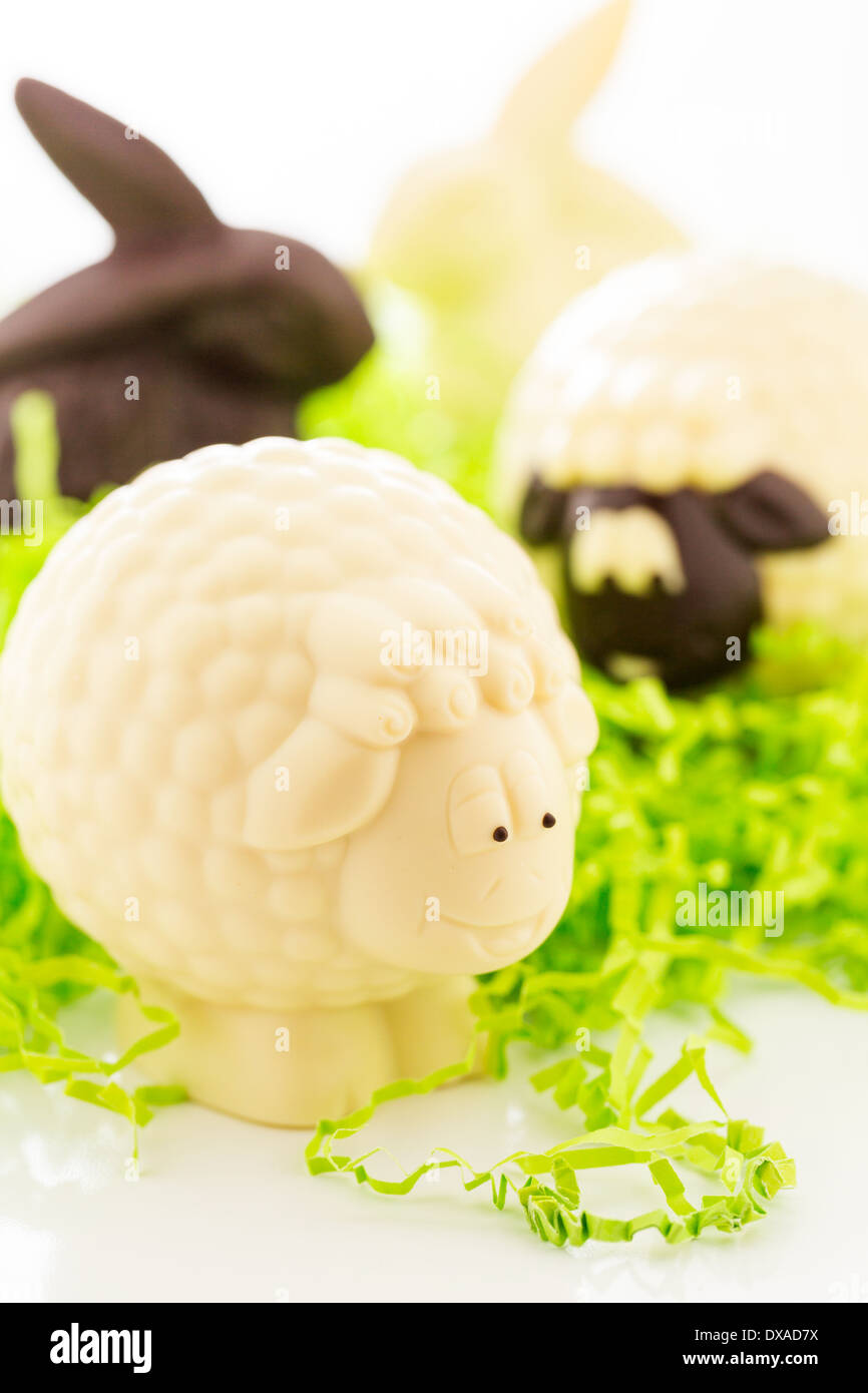 Easter chocolate sheep mafe of white chocolate Stock Photo - Alamy
