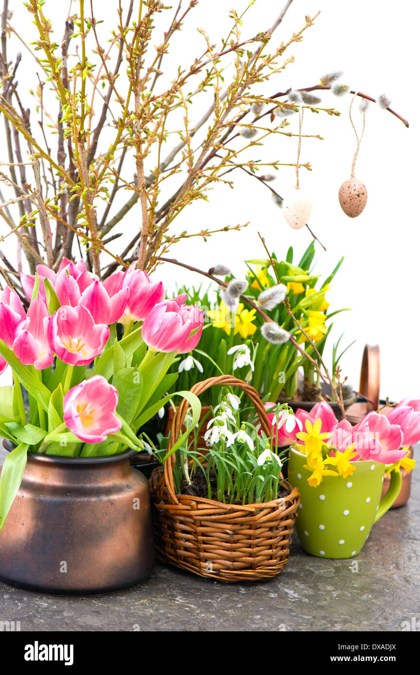 spring flowers and fresh tree twigs with easter eggs decoration Stock ...