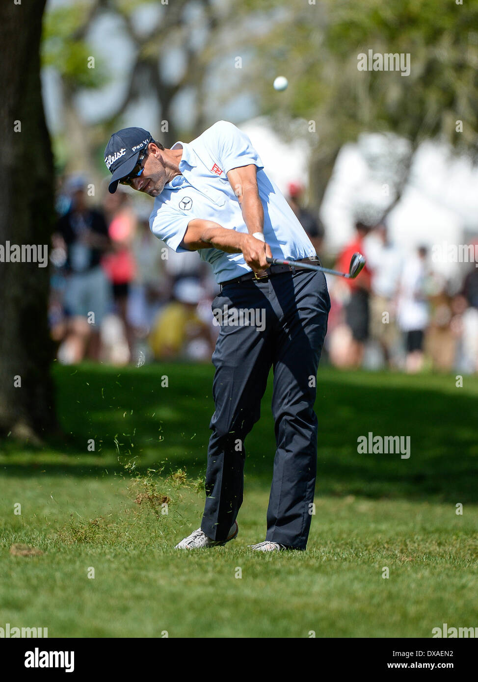 Orlando, Florida, USA. 21st March 2014. Adam Scott hist from the ...