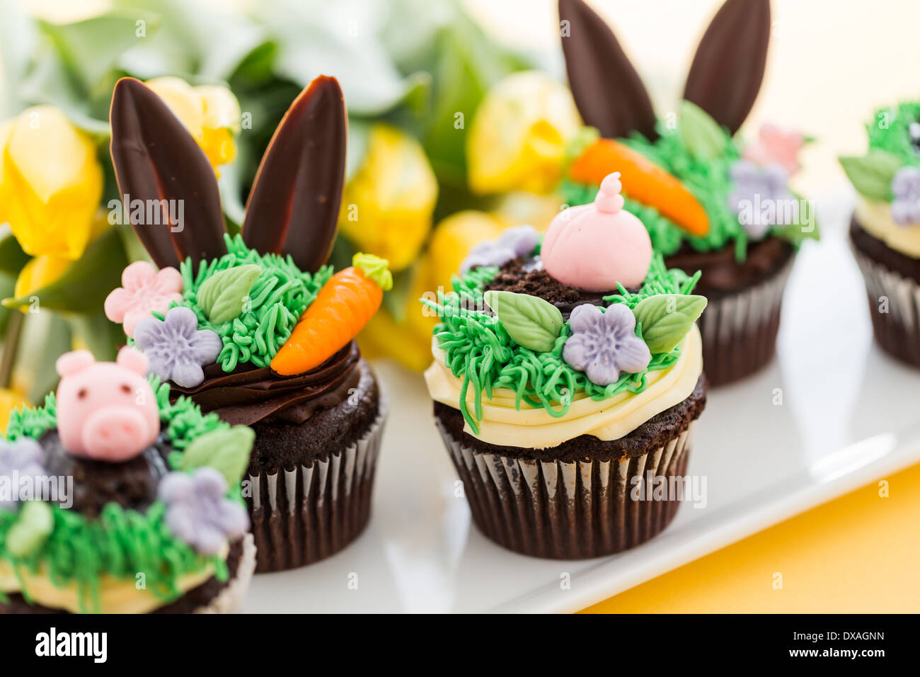 Easter chocolate cupcakes decorated with piggy and bunny ears Stock ...