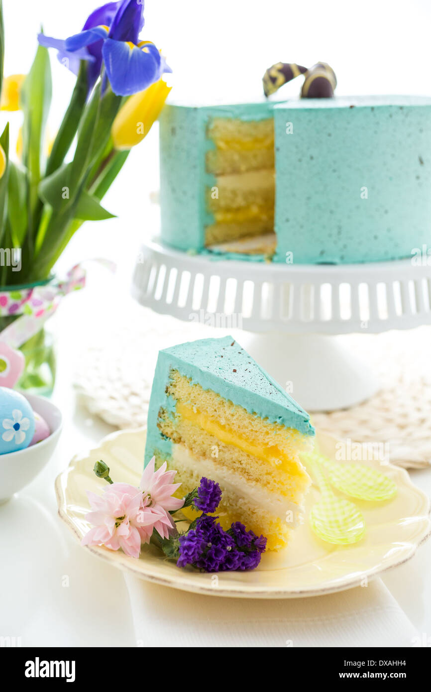 Easter Robins egg cake with chocolate speckles and egg truffles Stock ...
