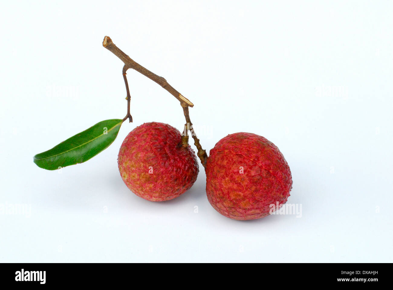 Lychee plant hi-res stock photography and images - Alamy