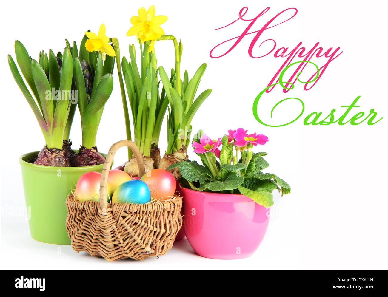 colorful spring flowers. happy easter Stock Photo - Alamy