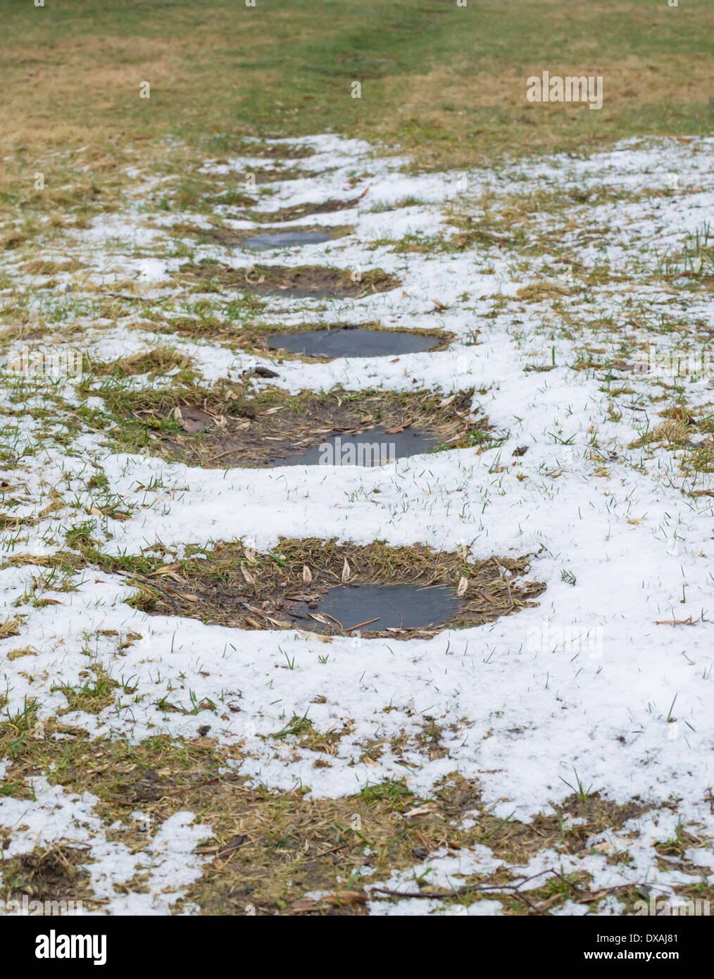 Frosty path with slushy snow and slate stepping stones leading to green ...