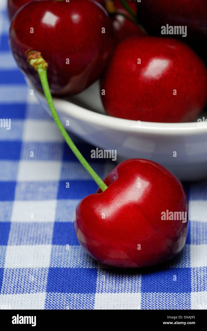 Cherry prunus spec hi-res stock photography and images - Alamy