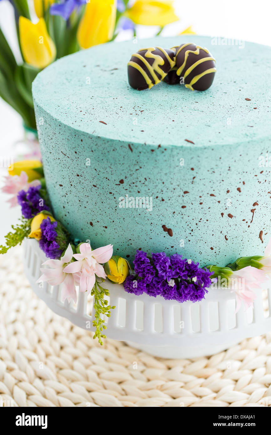 Easter Robins egg cake with chocolate speckles and egg truffles Stock ...
