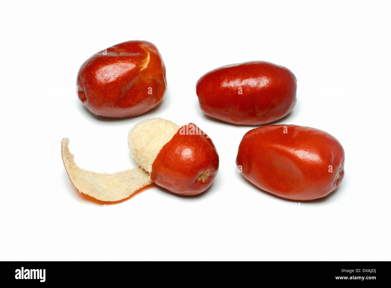 Olive seed hi-res stock photography and images - Alamy