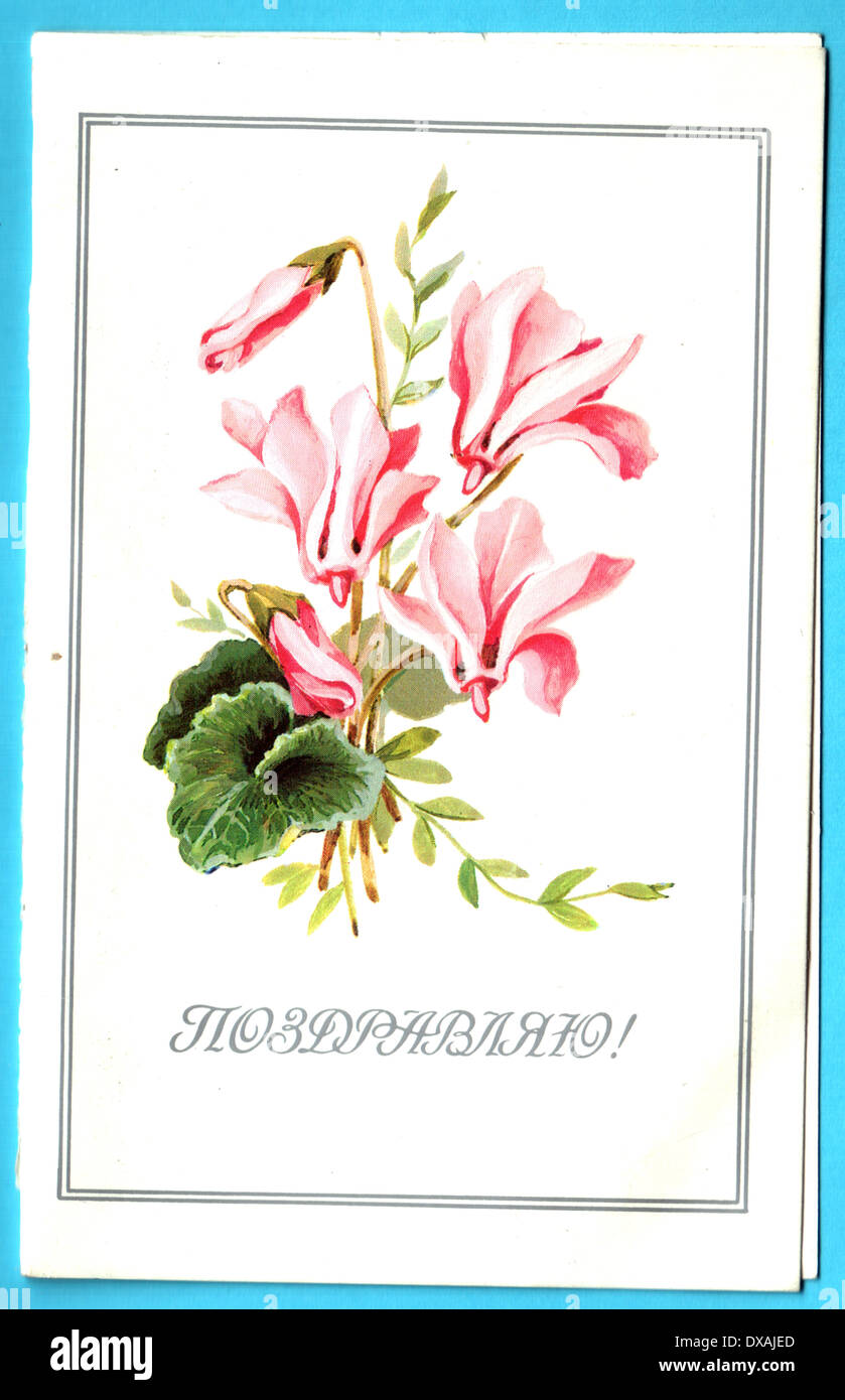 USSR - CIRCA 1987: Postcard printed in the USSR shows bouquet of ...