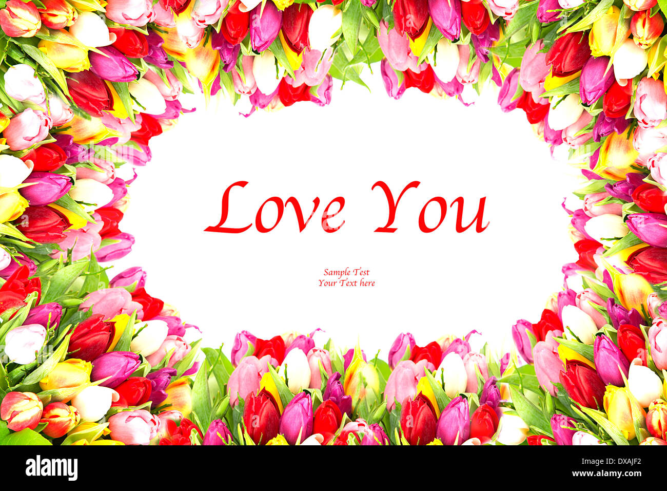 Beautiful flower frame, colorful tulips Stock Photo - Alamy