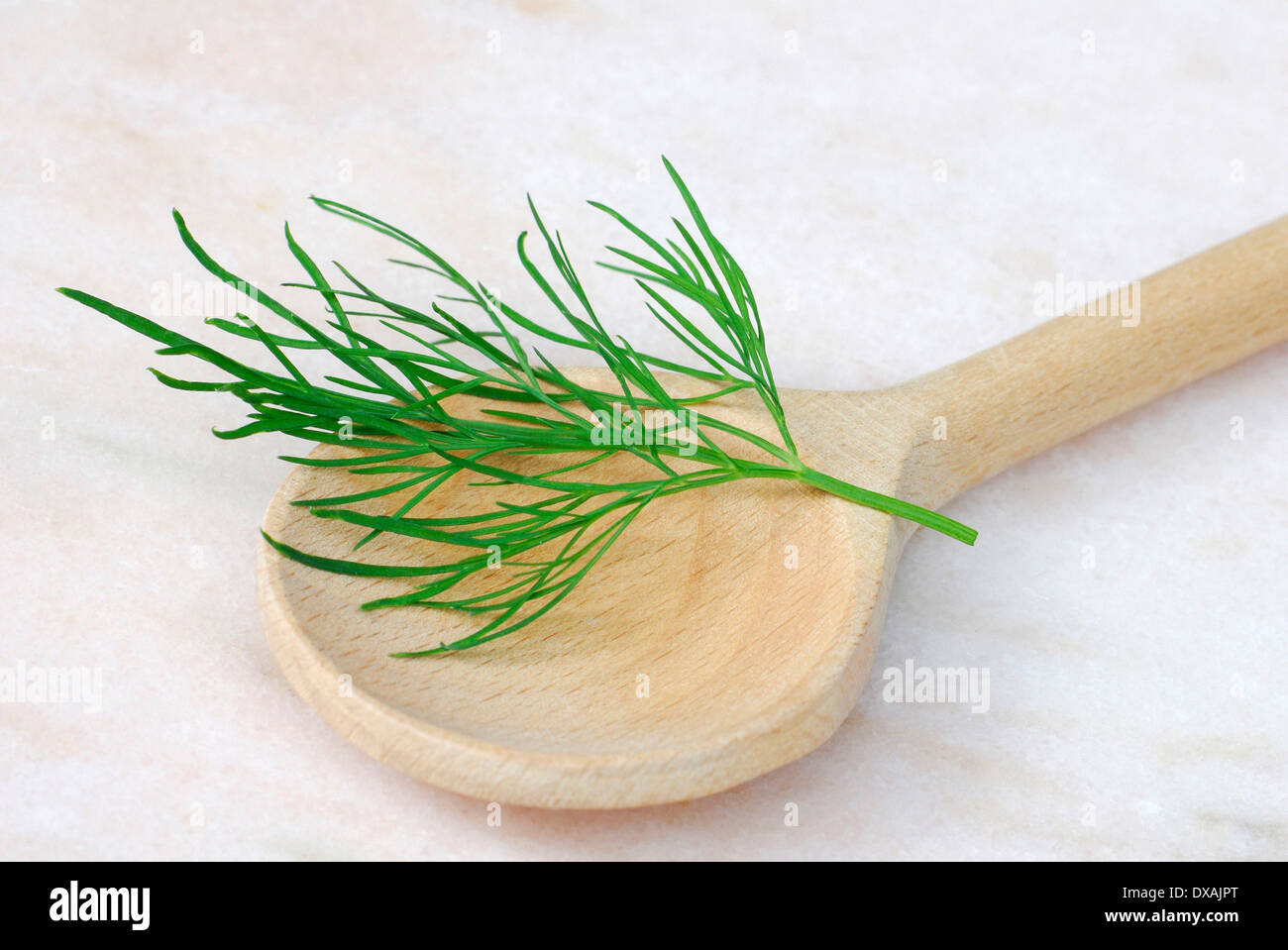 With dill hi-res stock photography and images - Alamy