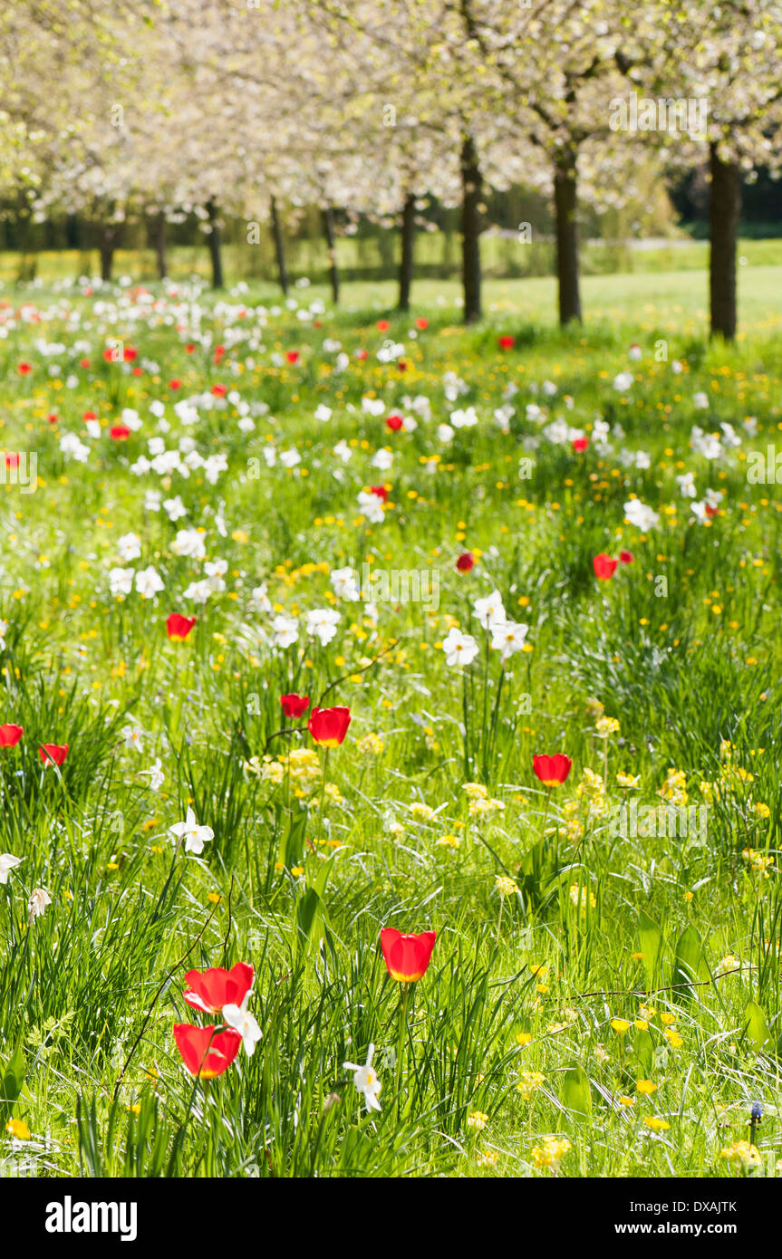 Restful colour combination hi-res stock photography and images - Alamy