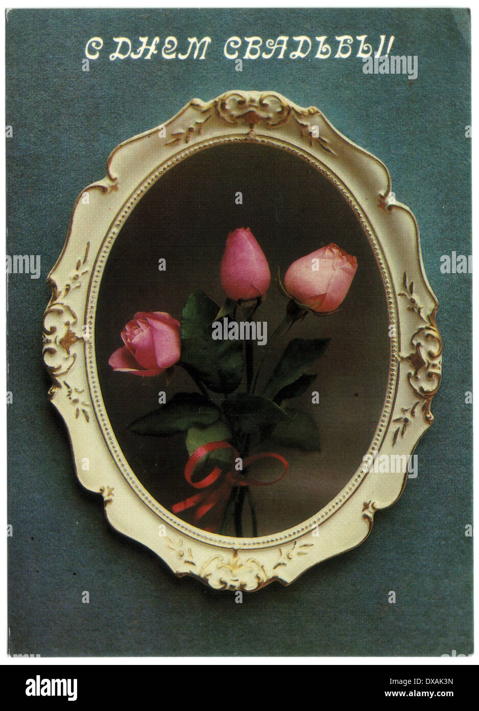 USSR - CIRCA 1984: Postcard, photographer Gidirimskij - roses , circa ...