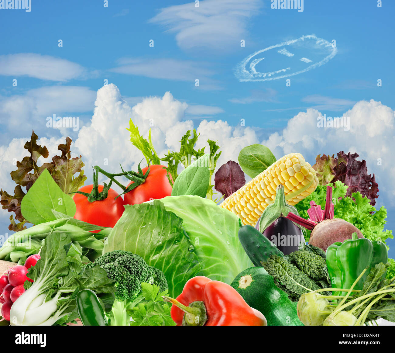 Healthy Food Assortment Against The Blue Sky Stock Photo - Alamy