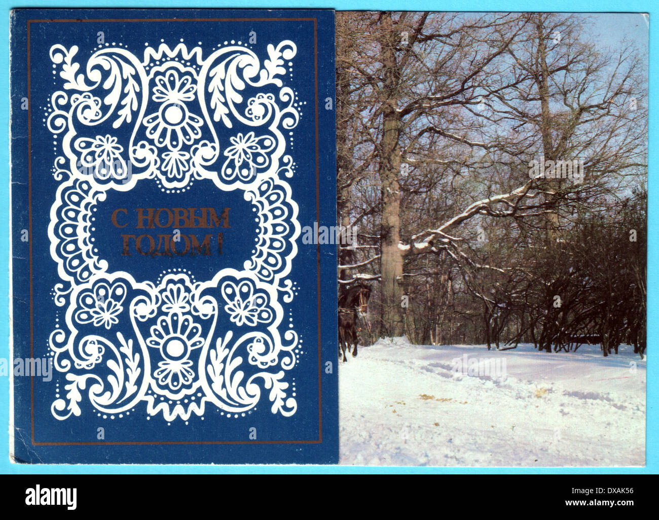 USSR - CIRCA 1980: Postcard printed in the USSR shows - winter forest ...