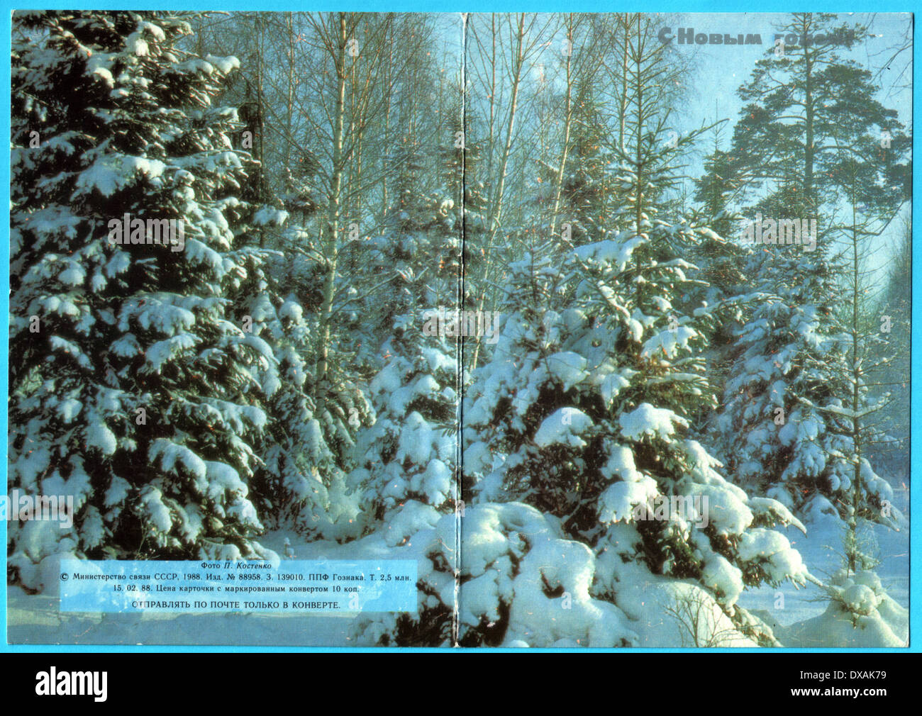 USSR - CIRCA 1980: Postcard printed in the USSR shows - winter forest ...