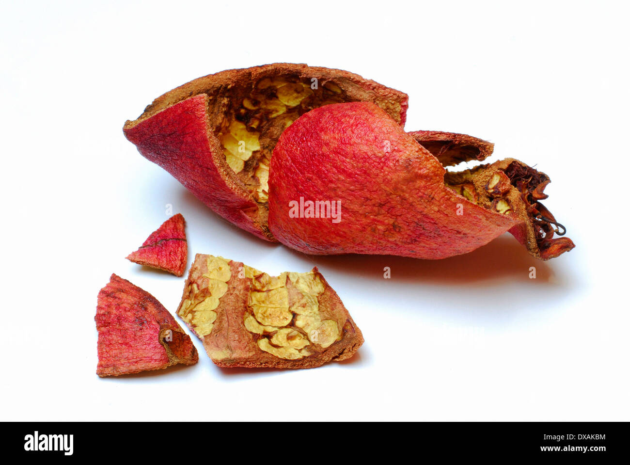 Pomegranate peel hi-res stock photography and images - Alamy