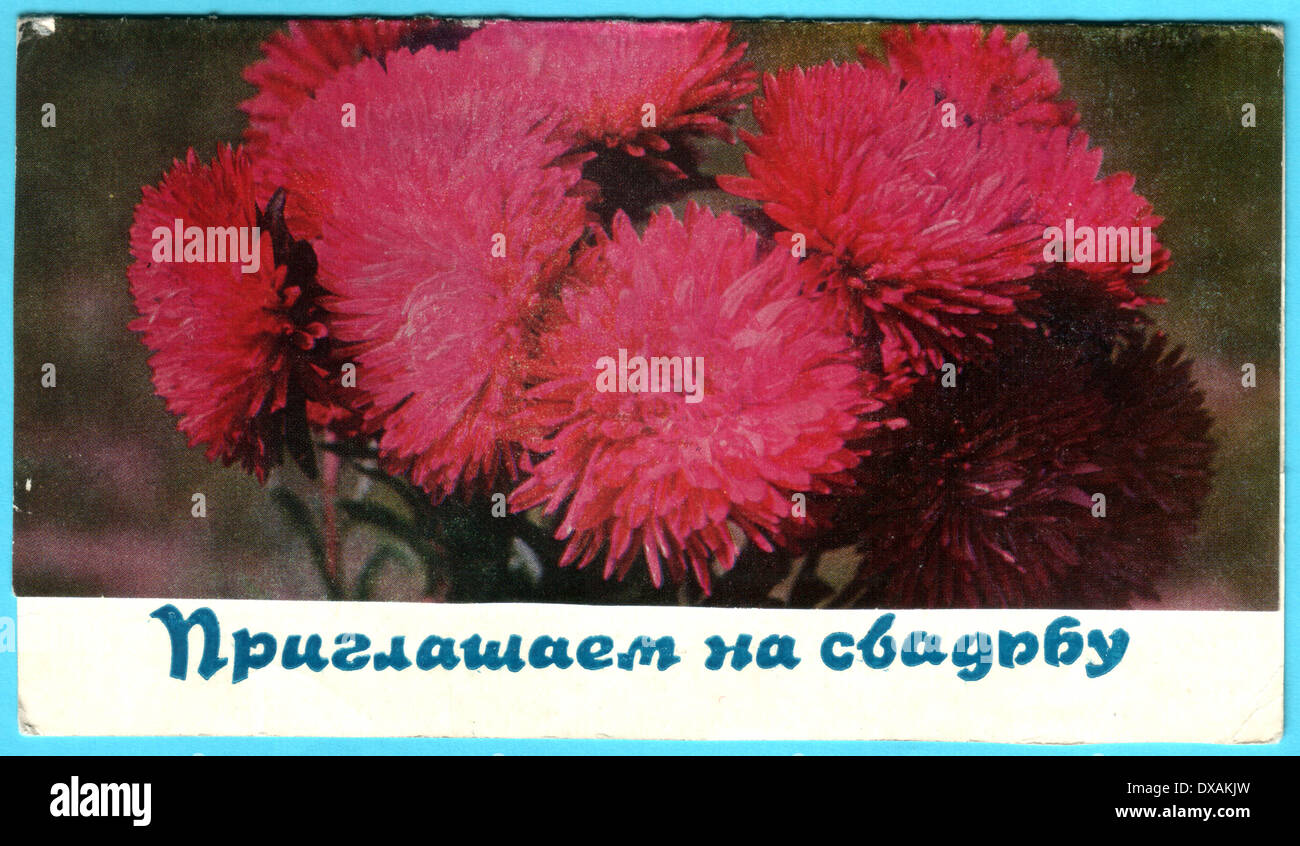 USSR - CIRCA 1973: Postcard printed in the USSR shows bouquet of ...