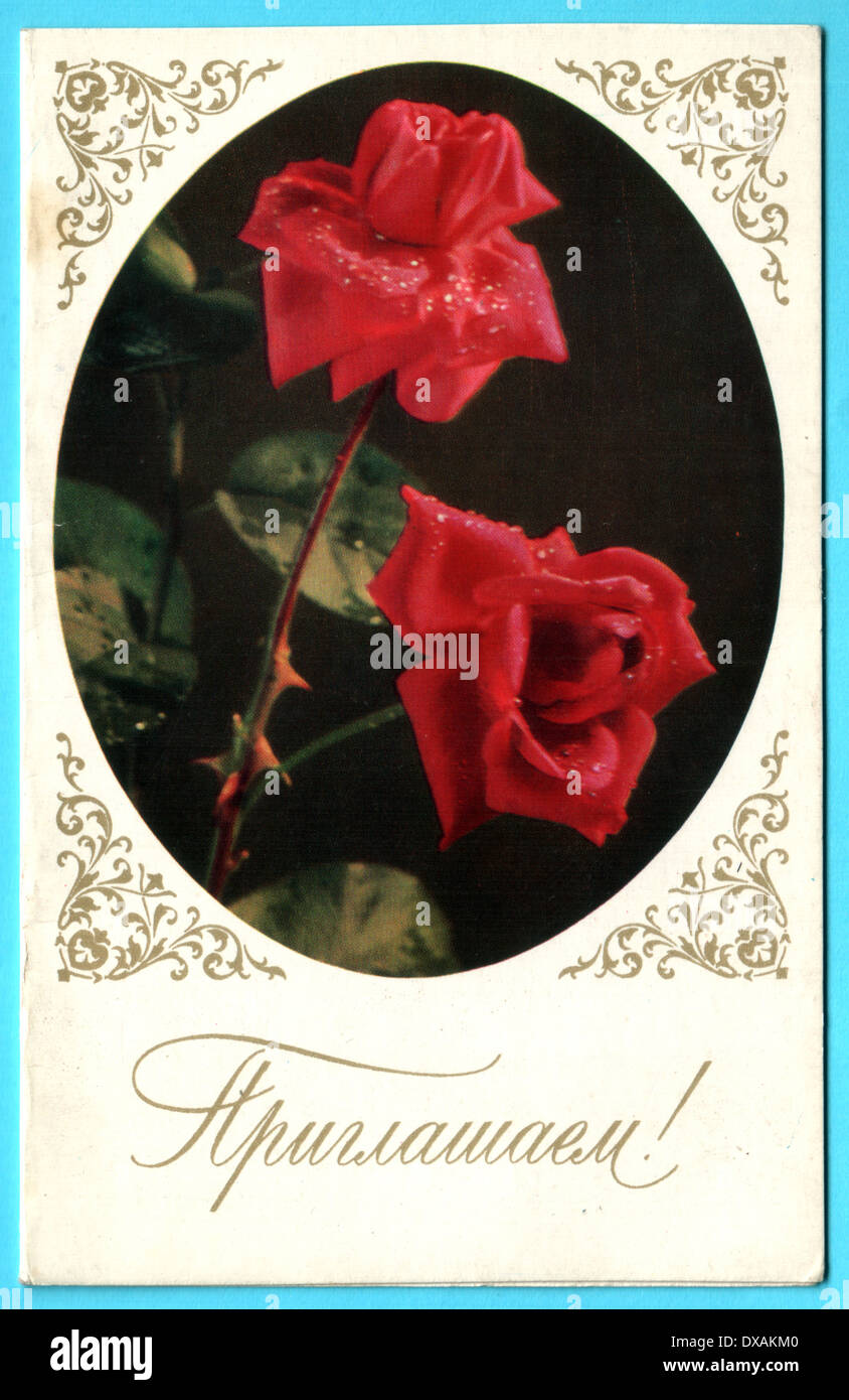 USSR - CIRCA 1973: Postcard printed in the USSR shows roses, circa 1973 ...