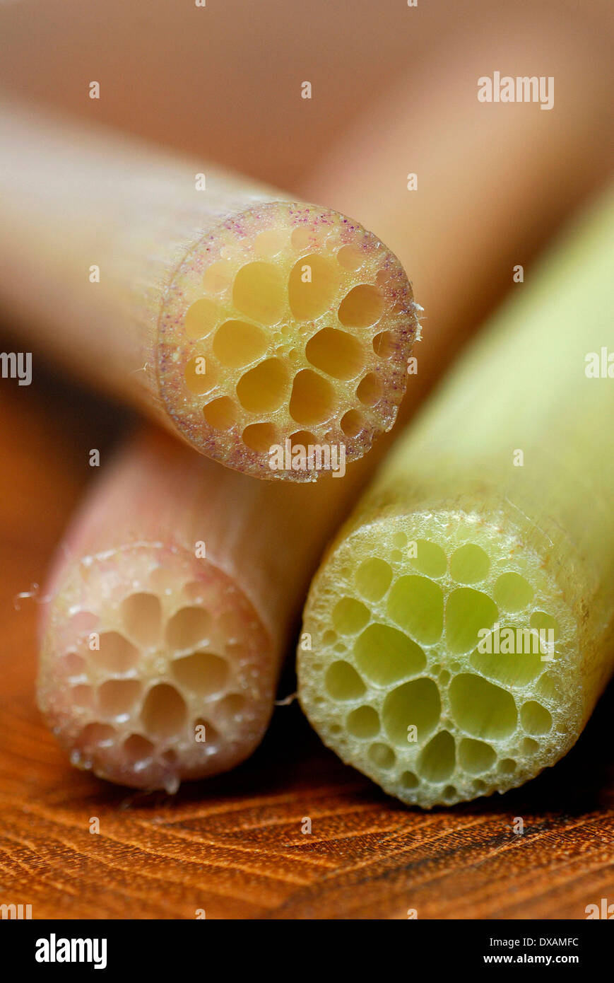 Lotus stems hi-res stock photography and images - Alamy