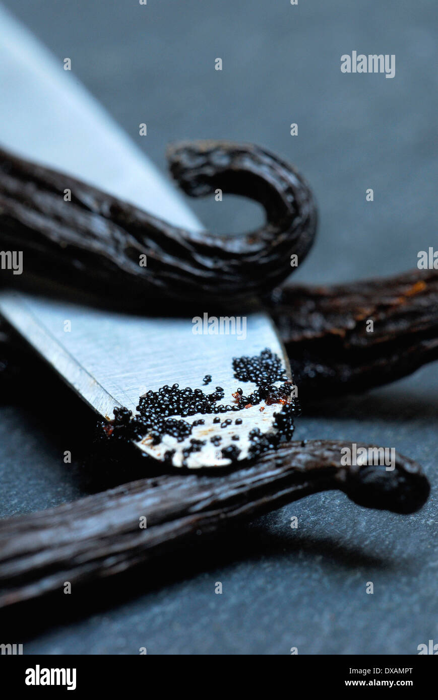 Vanilla hi-res stock photography and images - Alamy