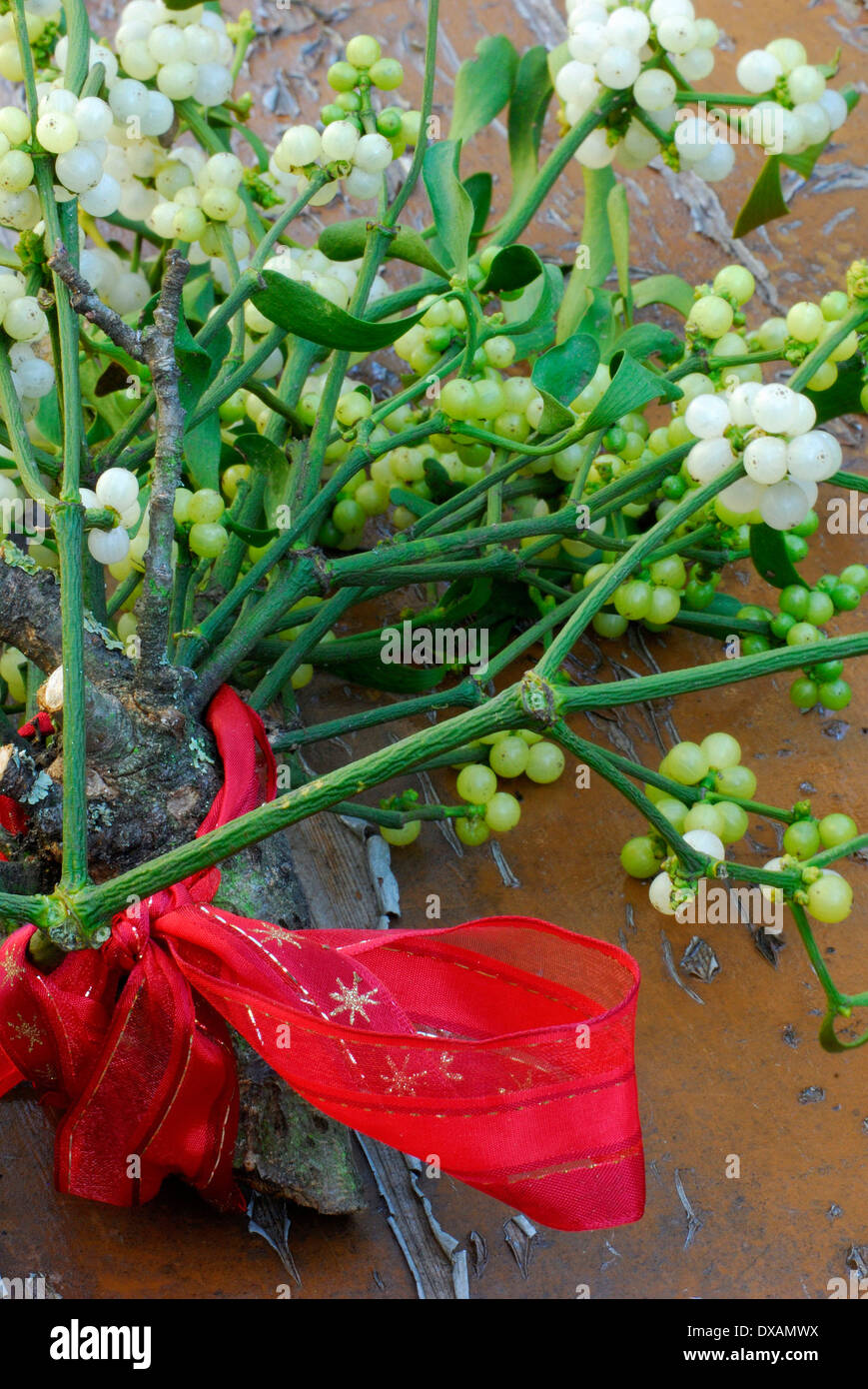 Misteltoe with red ribbon hi-res stock photography and images - Alamy