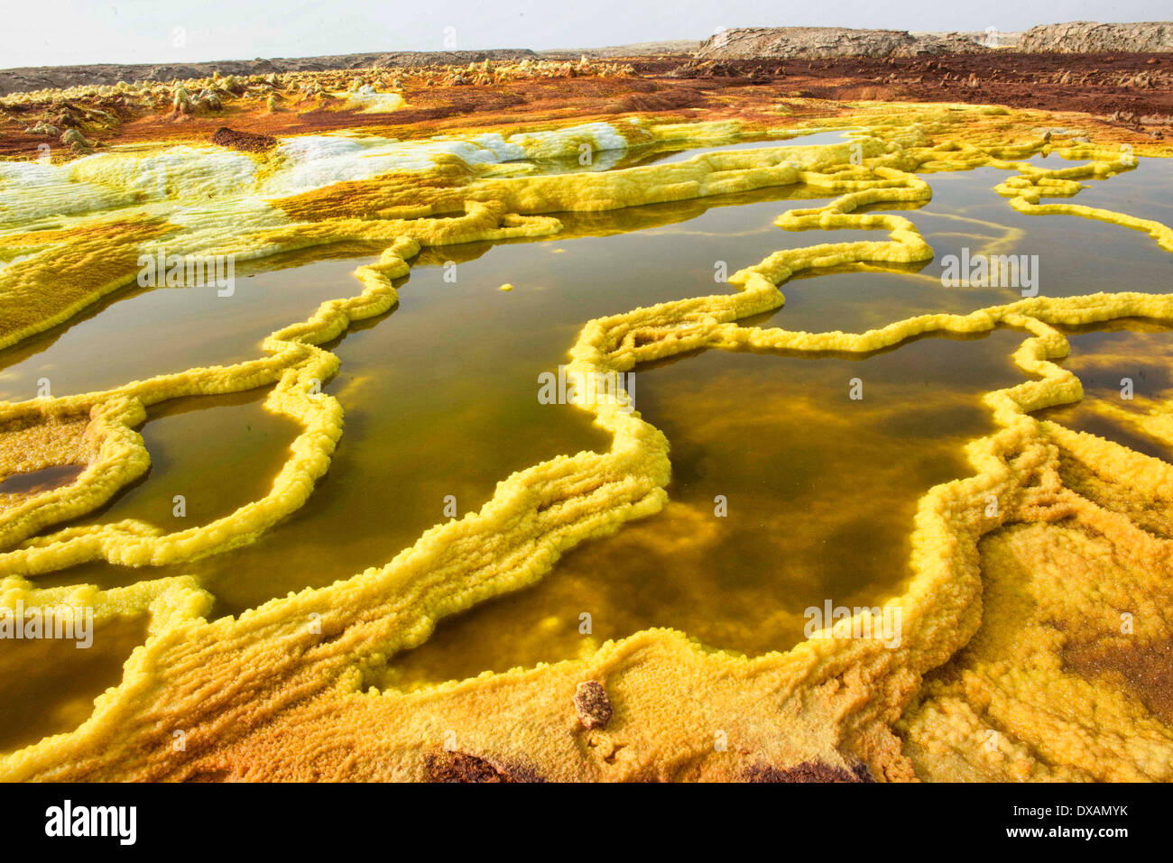 Danakil ethiopia hi-res stock photography and images - Alamy