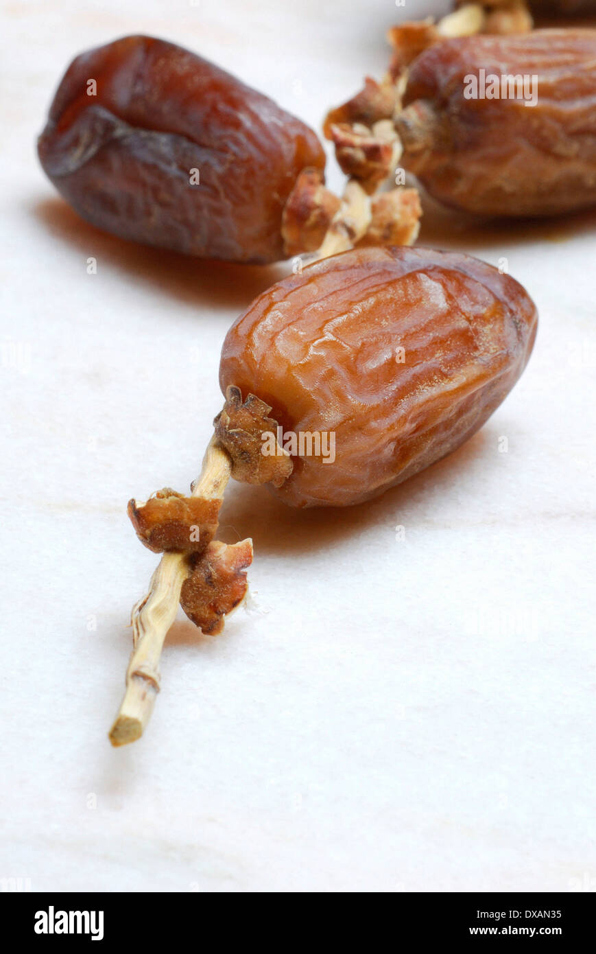 Deglet nour date hi-res stock photography and images - Alamy