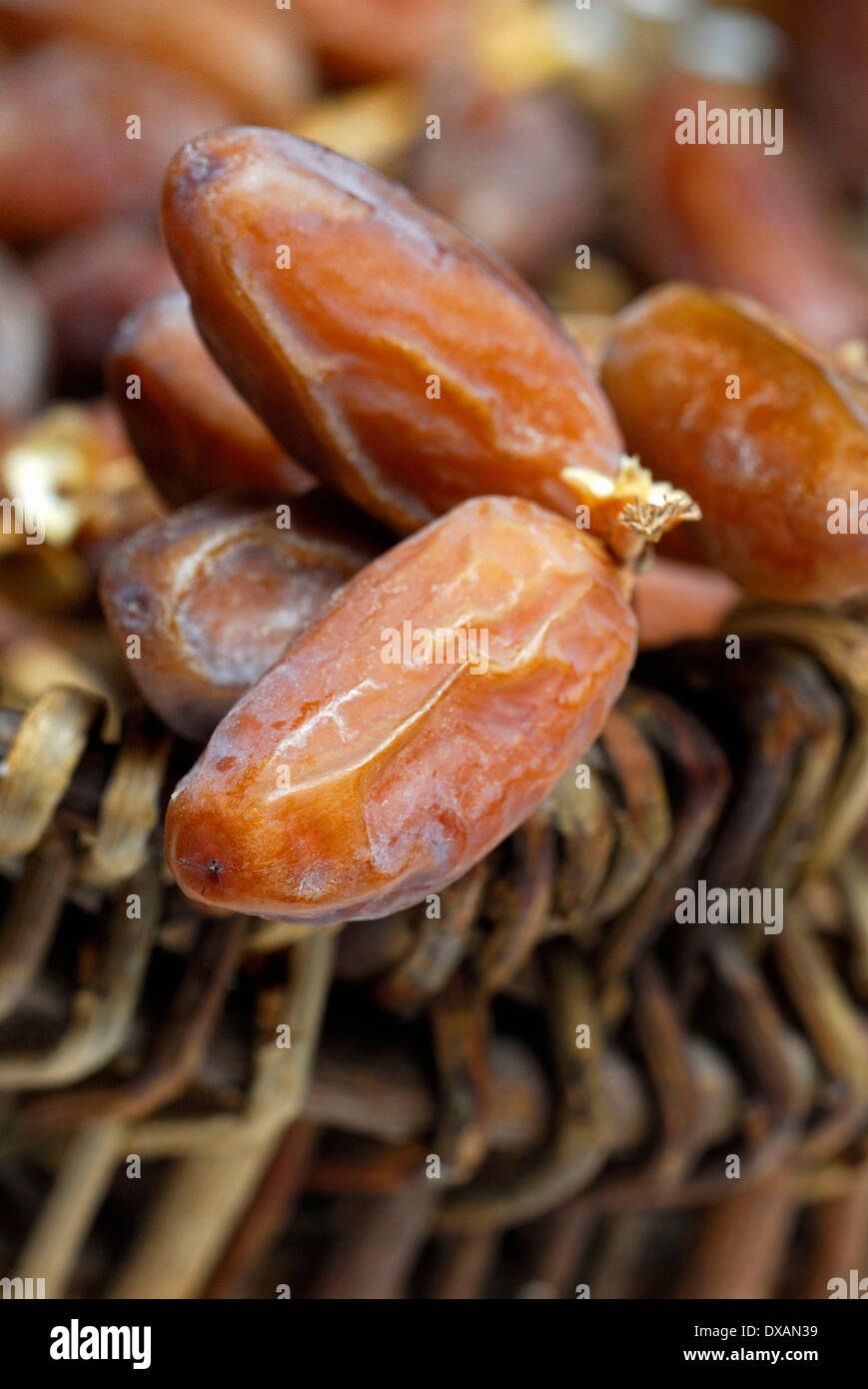 Deglet nour date hi-res stock photography and images - Alamy