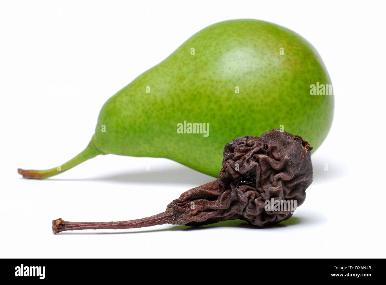 Pear Cut Out Stock Images & Pictures - Alamy