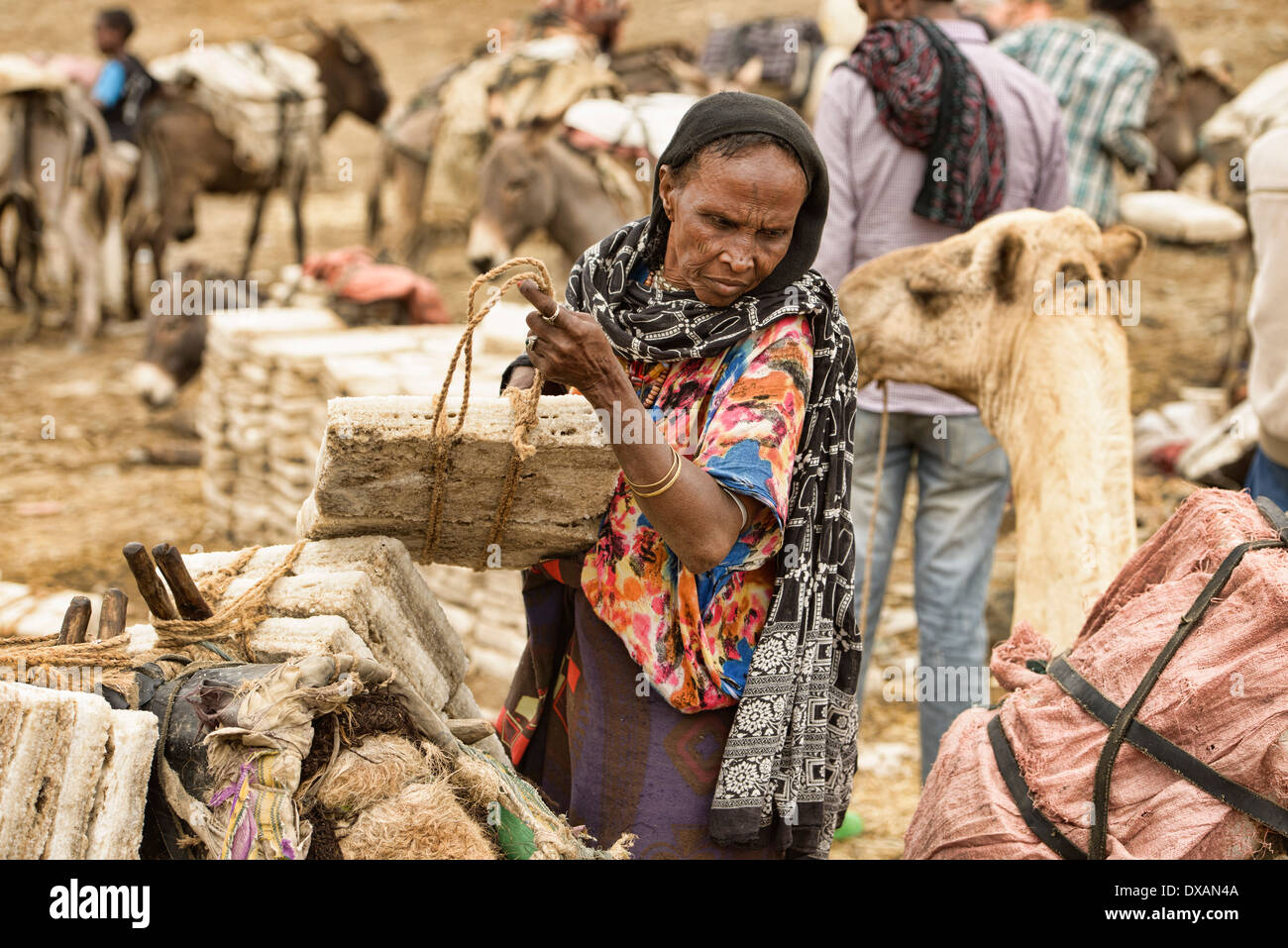 Danakil salt hi-res stock photography and images - Alamy