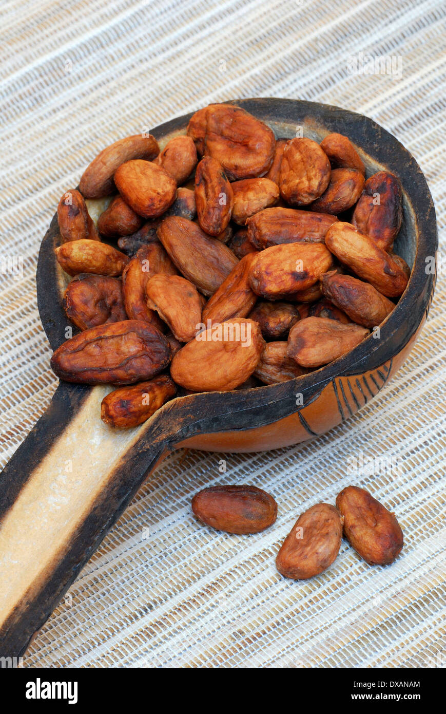 Cocoa beans hi-res stock photography and images - Alamy