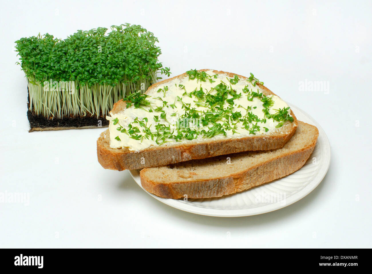 Curly cress hi-res stock photography and images - Alamy