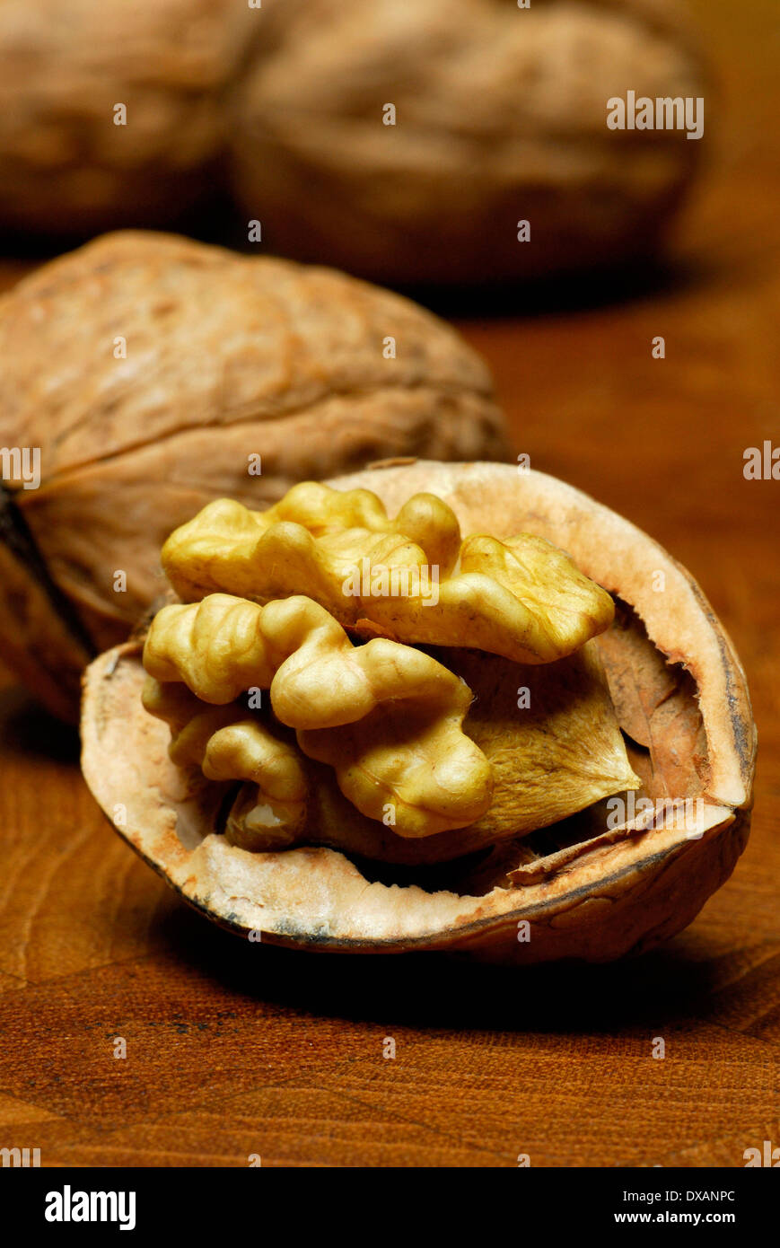 Walnut opened hi-res stock photography and images - Alamy