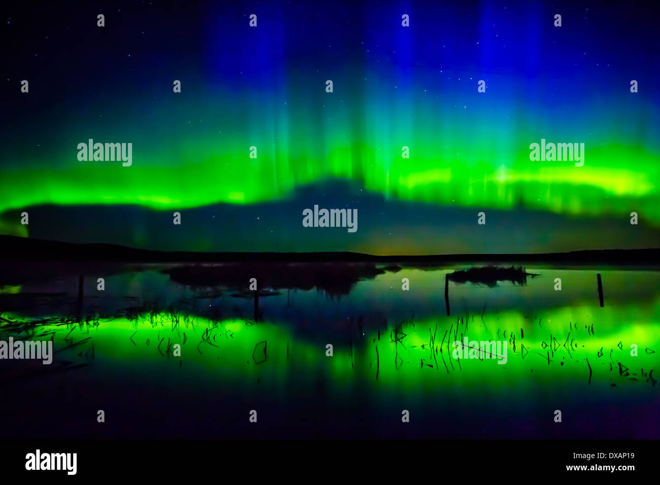 The Phantom Menace - Aurora Borealis reflected in a prairie marsh west ...