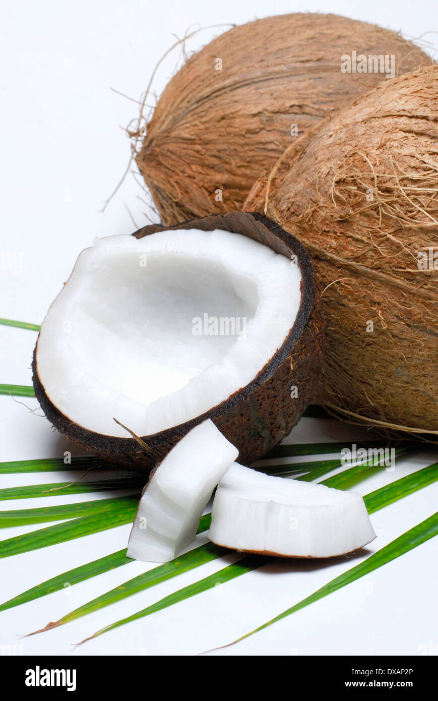 Opened coconuts hi-res stock photography and images - Alamy