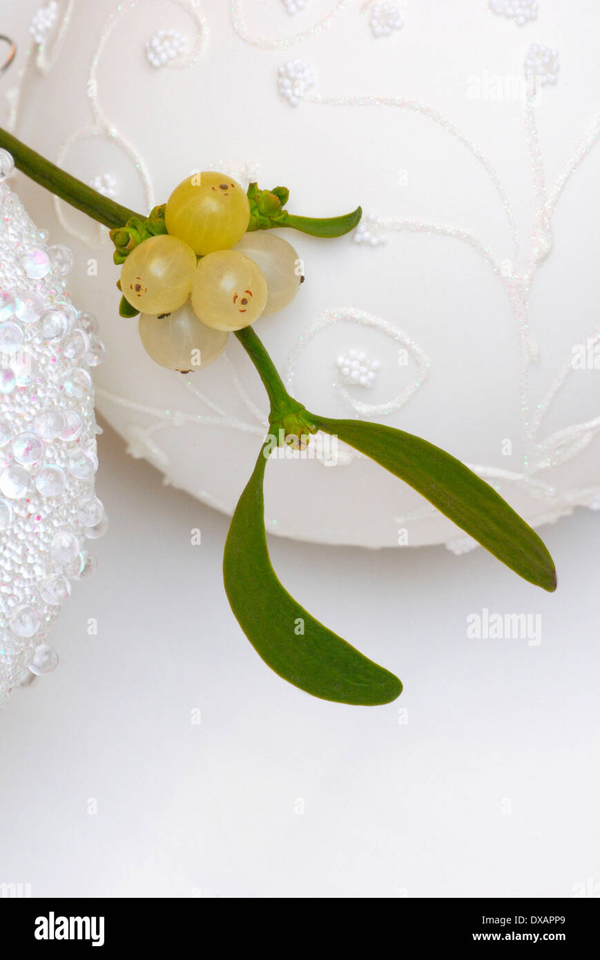 Mistletoe high hi-res stock photography and images - Alamy