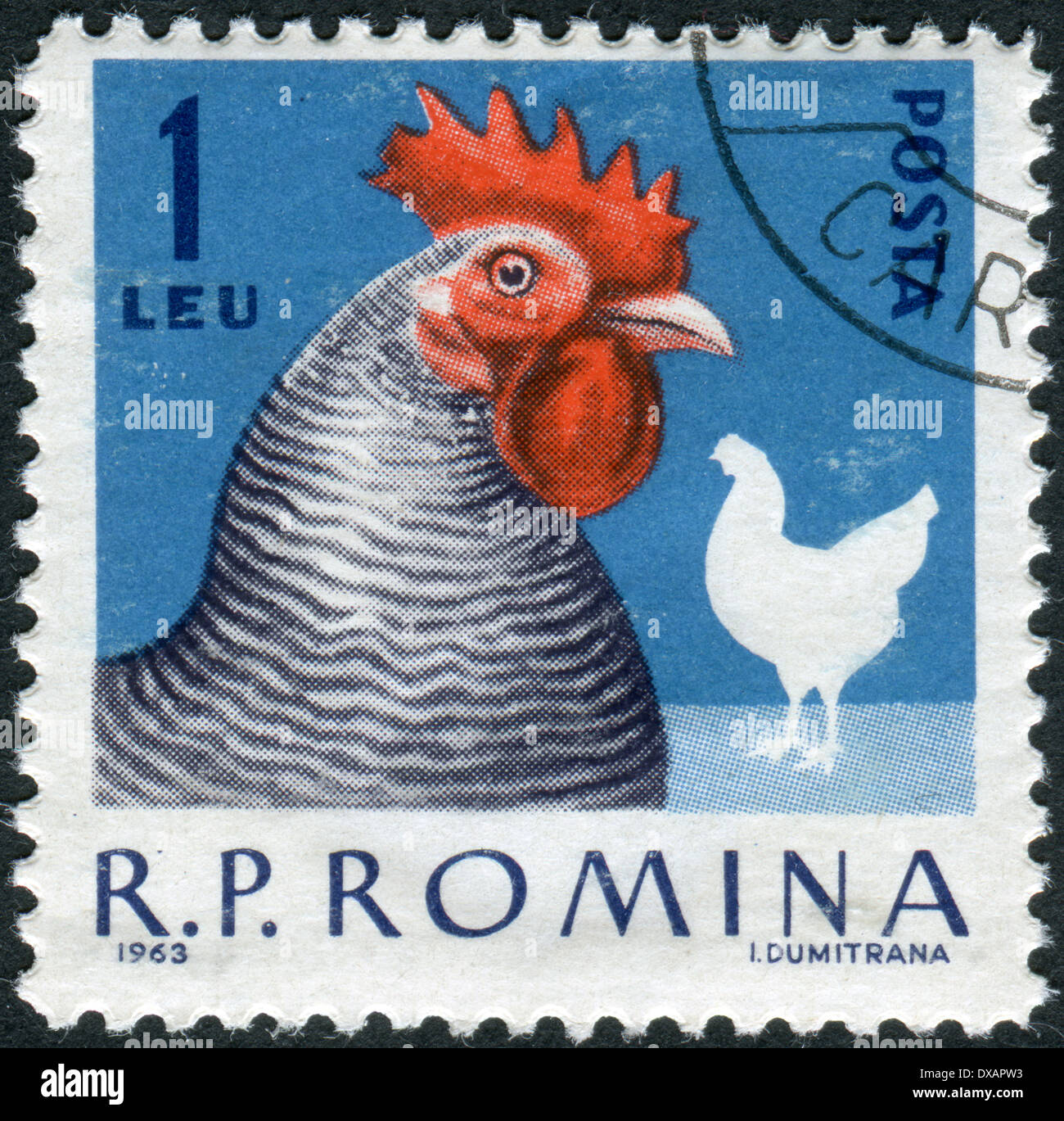 ROMANIA - CIRCA 1963: Postage stamp printed in Romania shows hen, circa ...