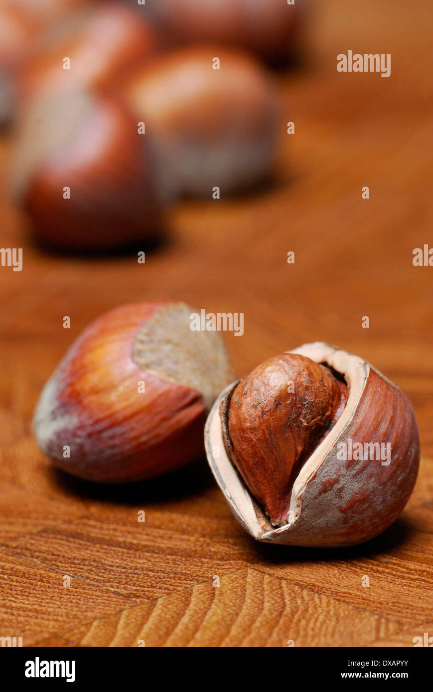 Hazelnut hi-res stock photography and images - Alamy