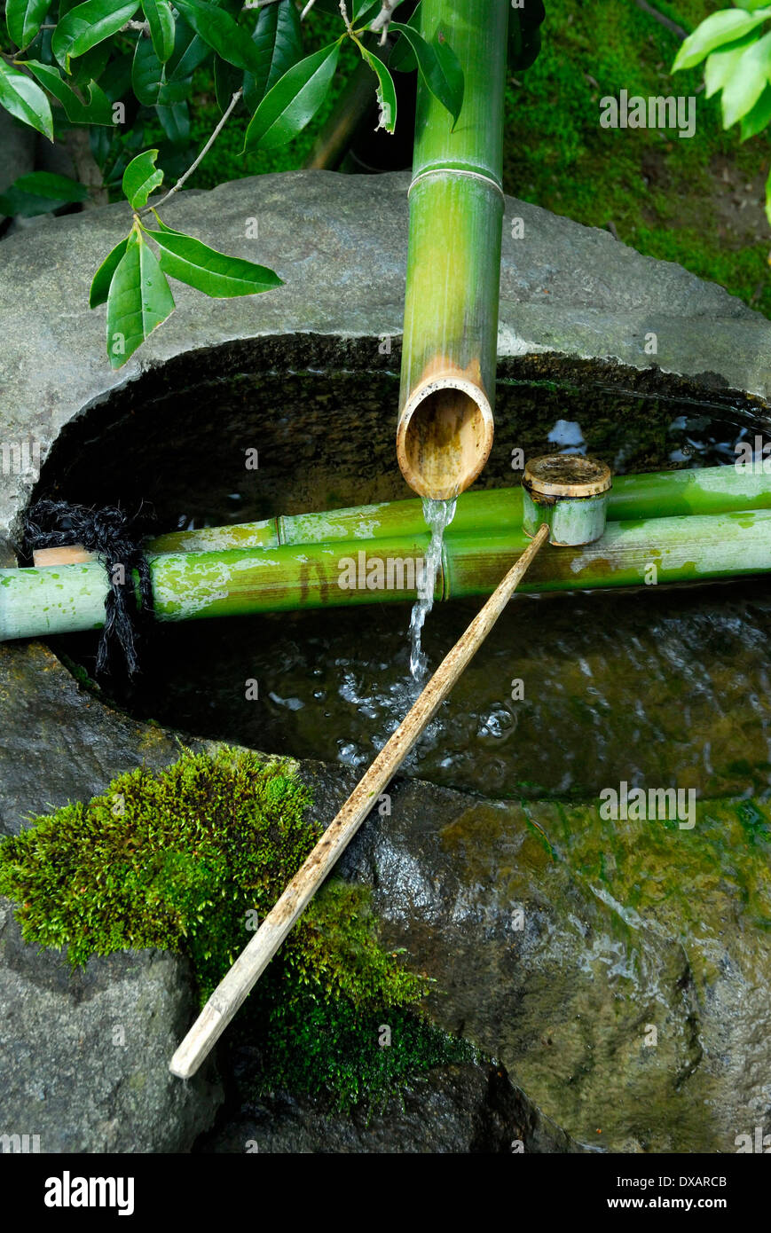 Bamboo ladle hi-res stock photography and images - Alamy