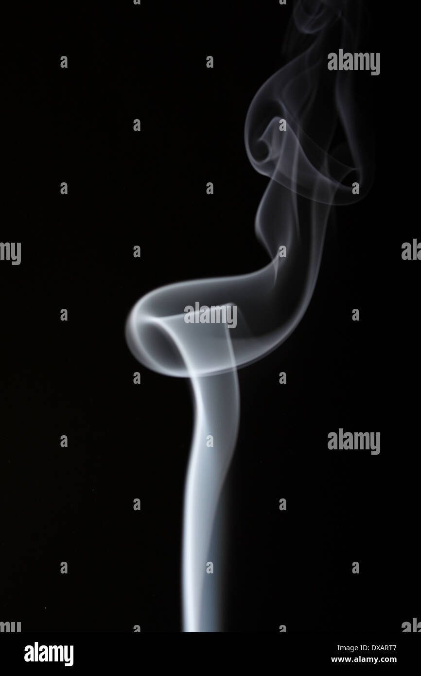 Grey plume hi-res stock photography and images - Alamy