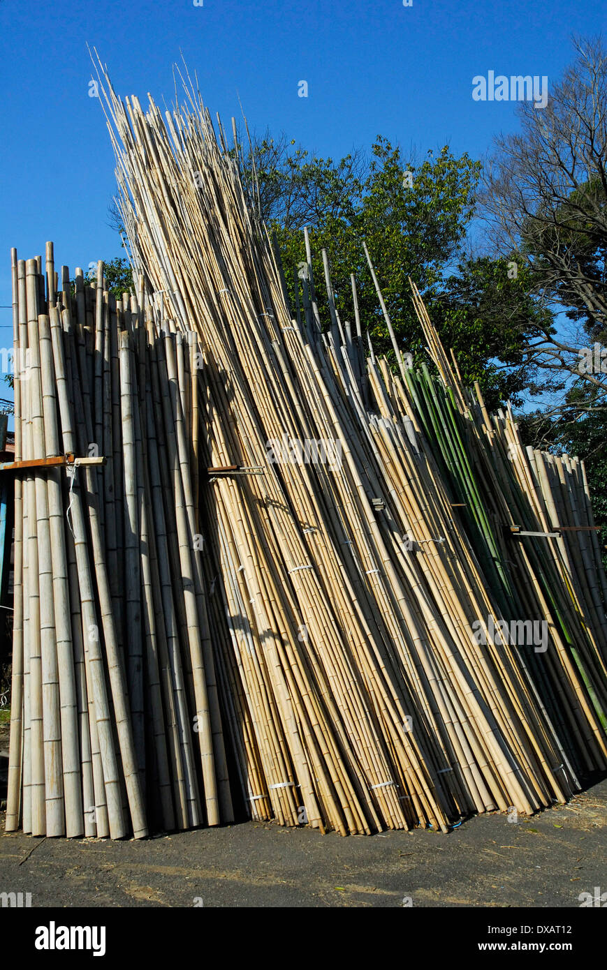 Bamboo sticks High Resolution Stock Photography and Images - Alamy